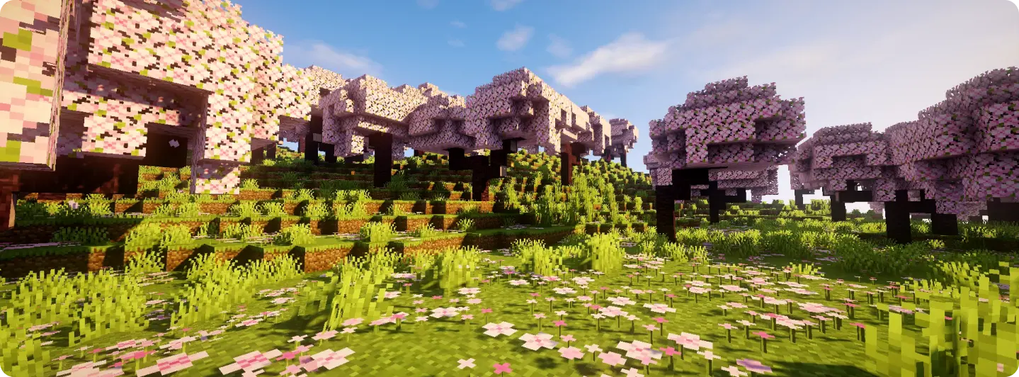 MCSeedShare | Finde die besten Minecraft Seeds